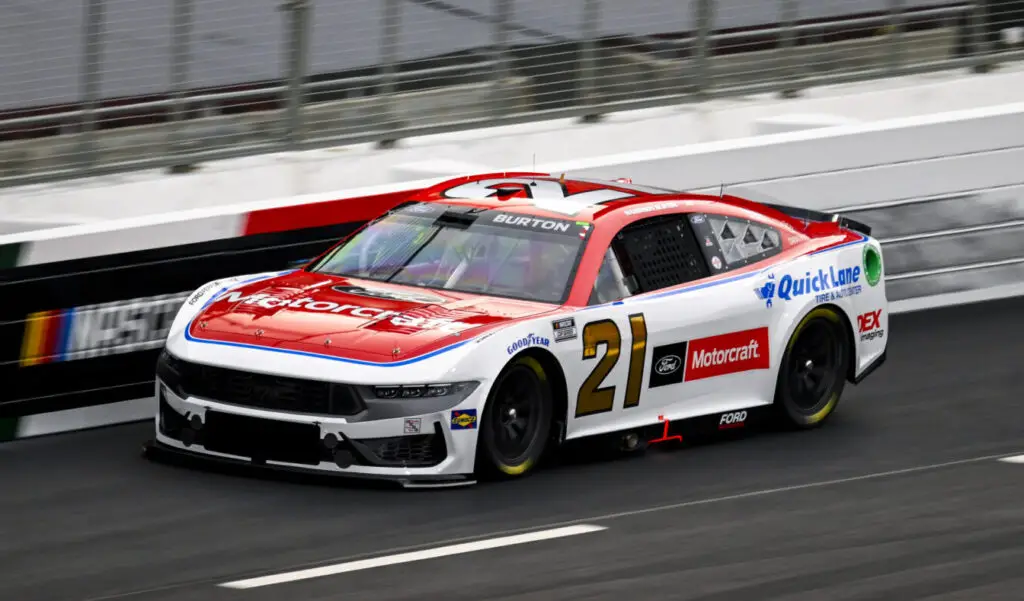 Paint | TobyChristie.com