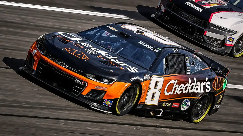 No. 8 Richard Childress Racing Cheddar's Paint Scheme | TobyChristie.com
